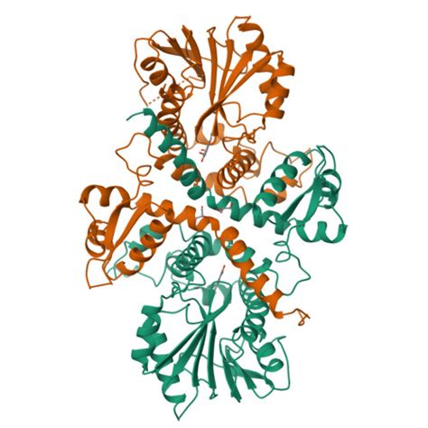 Rcsb Pdb 4e70 Crystal Structure Analysis Of Coniferyl Alcohol 9 O