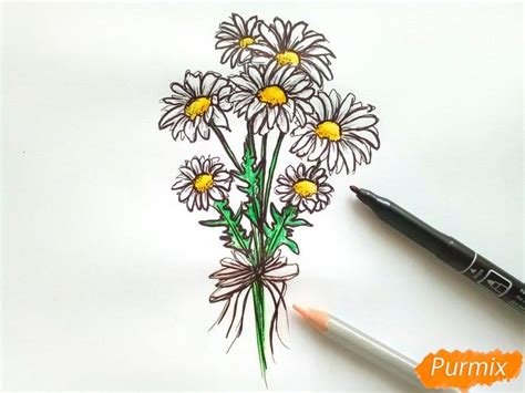 Как нарисовать букет ромашек поэтапно 4 урока Pineapple Fruit