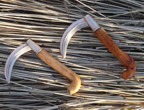 Sickle Scythe Difference