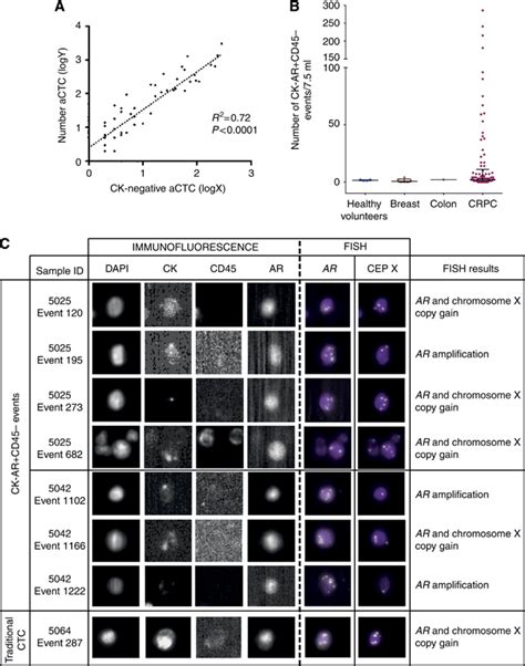 Detection Of Ar Ck Weak Ctcs A Ck Arcd45 Nucleated Ctc Counts