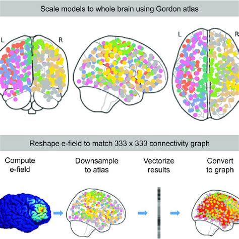 Temporal Interference For Noninvasive Electrical Stimulation Of Deep Download Scientific