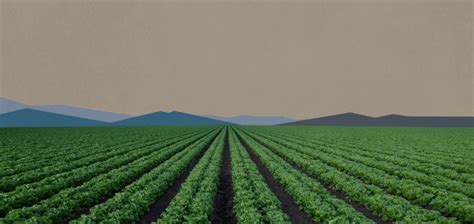 Leafy Green Produce Safety Ieh Academy