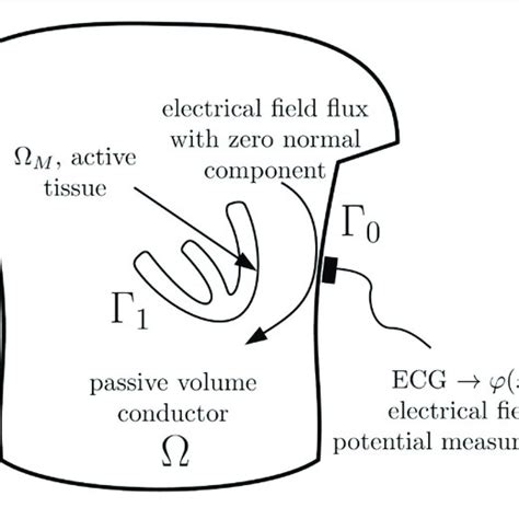 physical model underlying the inverse ecg problem download