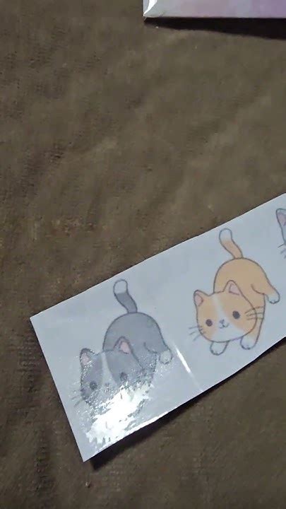 I Made A Cat Bilnd Bag Cutereally Hard