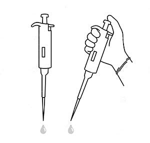 How To Use A Pipette ATO Com