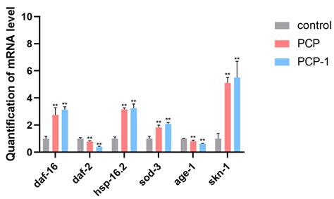 Anti Aging In Caenorhabditis Elegans Of Polysaccharides From Polygonatum Cyrtonema Hua
