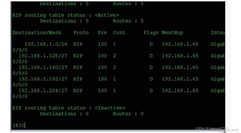 ripv2实验：网络拓扑配置与路由管理 csdn博客