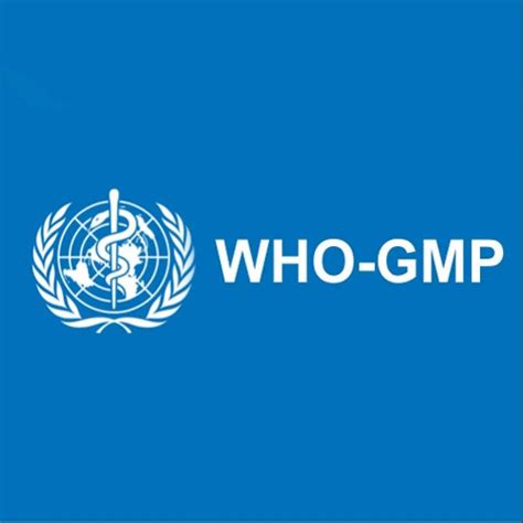 Who Gmp Certification Services At ₹ 30000 Certificate In Navi Mumbai