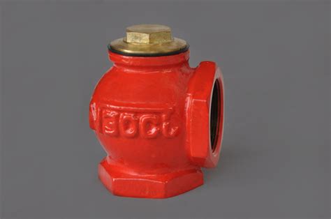 Angular Check Valve At Best Price In Kolkata West Bengal Neogi Technologies And Research Pvt