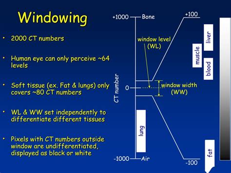 Ppt Pam2003 Lecture 5 Computed Tomography Ii Powerpoint Presentation