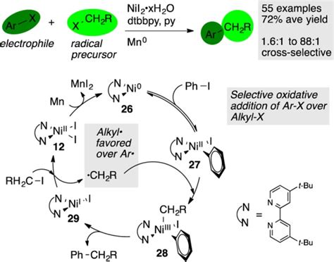 Cross Electrophile Coupling Principles Of Reactivity And Selectivity Abstract Europe Pmc