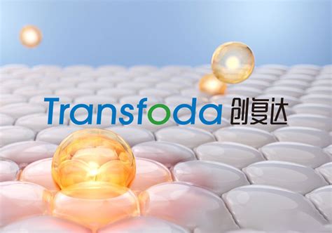 公司起名案例 品牌命名案例 探鸣起名网