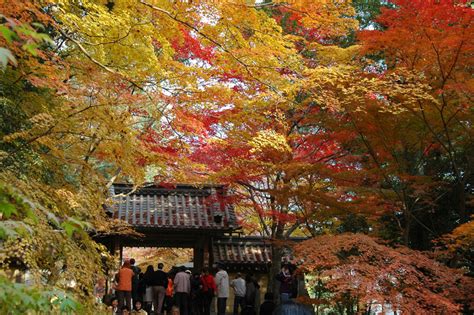 デジカメ写真紅葉狩り 湖東三山永源寺
