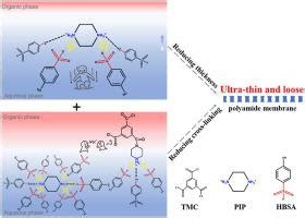 有机盐调制制备性能增强的超薄疏松聚酰胺纳滤膜 Journal of Membrane Science X MOL