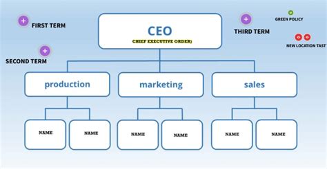 COMPANY STRUCTURE