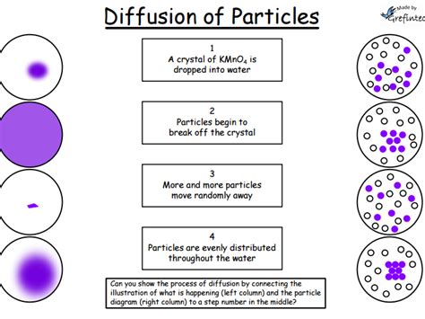 Diffusion Worksheet Middle School Addition Facts Mastering Math Facts