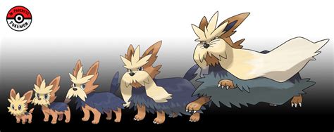 Pokemon Lillipup Evolve