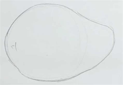 How To Draw Potato Cute Sweet With A Pencil And Plant