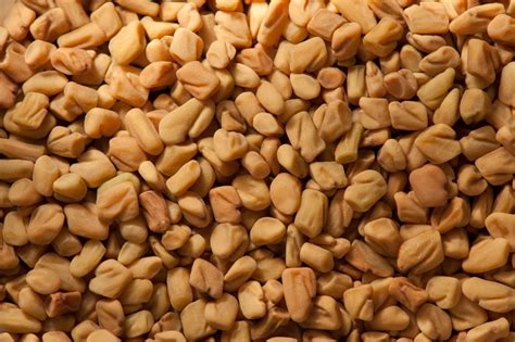 Fenugreek Vs Fennel Seed Spiceography Showdown