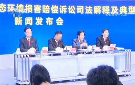 最高法 环境损害赔偿案司法解释发布 将“修复生态环境”作为赔偿方式新闻频道央视网