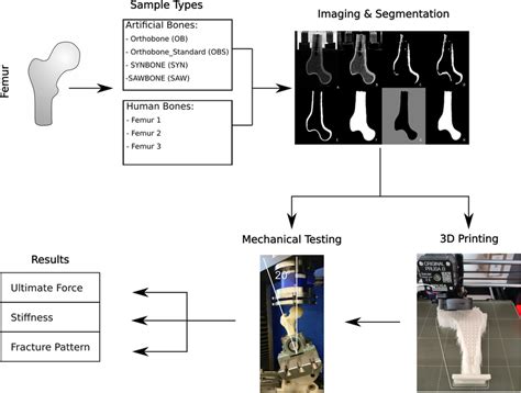 Overview Of The Workflow Starting With The Different Sample Types Of Download Scientific