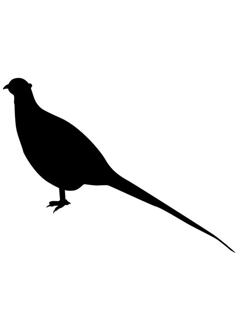 Free Printable Pheasant Stencils And Templates