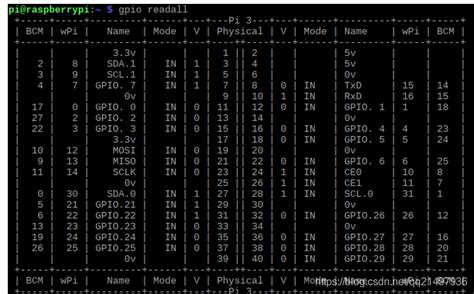 树莓派开发笔记 五 ：gpio引脚介绍和gpio的输入输出使用（驱动led灯、检测按键） 树莓派引脚输出ntsc csdn博客