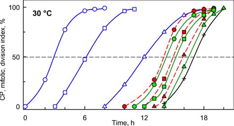 Graphical Representation Of The Cell Cycle Progression In Synchronized Download Scientific