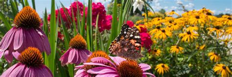 Ohio Nrcs Programs Natural Resources Conservation Service Ohio Nrcs Programs Natural Resources Conservation Service