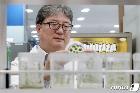 전량수입 Gmo 대체 유전자 가위로 슈퍼농작물 개발하겠다