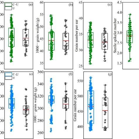 Yield Characteristics Of Wheat And Maize With C U And U Treatments A Download Scientific