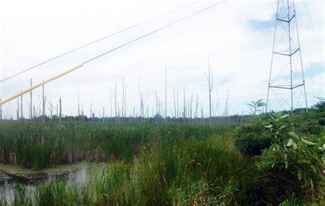 What The Usace 2021 Nationwide Permit Revisions Mean For Your Project