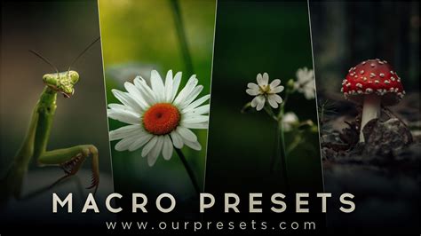 Lightroom Macro Preset Lightroom Macro Photography Presets Free Download