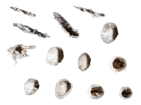 27 En La Categoría Bullet Entry Patterns De Imágenes Fotos De Stock