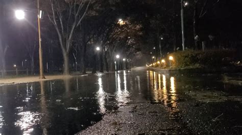 밤 공원에 떨어지는 빗소리를 들으며 불면증을 해소하고 숙면하세요명상휴식공부스트레스해소 Youtube