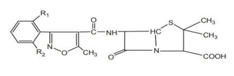 Penicillinase Resistant Penicillins Pharmacareerinsider