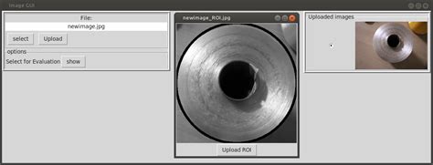 How To Extract Only Circular Roi Portion Of The Image And Show Radius
