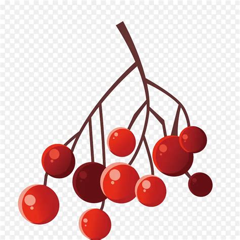 矢量红色果实png图片素材下载图片编号qjenmgdv 免抠素材网 矢量红色果实png图片素材下载图片编号qjenmgdv 免抠素材网