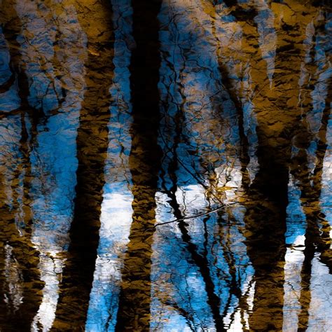 Trees In Water 131 Abstract Artwork Painting Picture