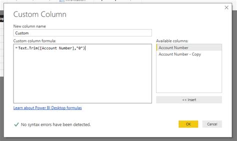 how to remove leading zeros power in bi absentdata