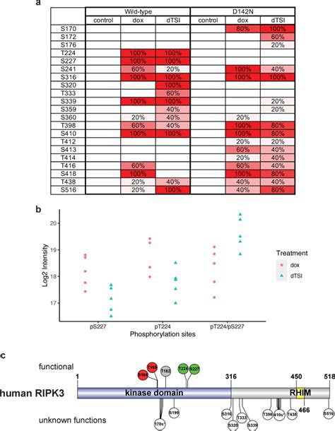 Human Ripk3 C Lobe Phosphorylation Is Essential For Necroptotic Signaling Pmc
