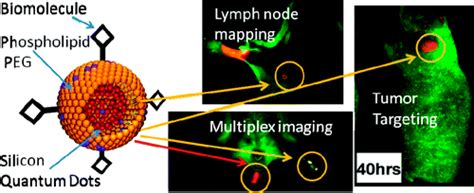 Nanotechnology Now Press Release Silicon Nanocrystals Map Location