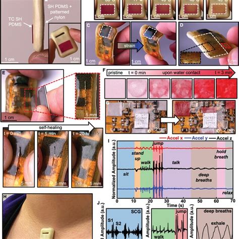 A Multifunctional Materials Design Approach For Encapsulation Of Download Scientific Diagram