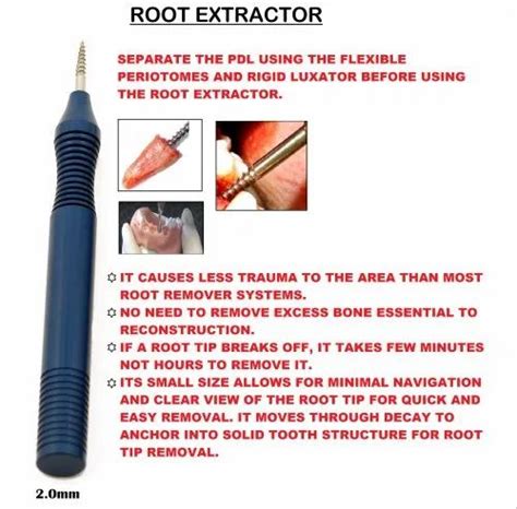 Stainless Steel Root Extractor Handle For Clinical At ₹ 2000 Unit In Mumbai