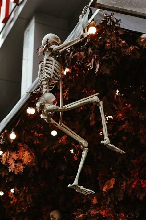 How To Easily Pose Cheap Halloween Skeletons In The Yard
