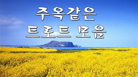 주옥같은 트로트 모음 연속 듣기 애절한 트로트메들리 모음 애잔한 트로트메들리 Youtube