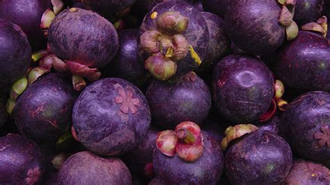 Маленький фиолетовый фрукт 64 фото