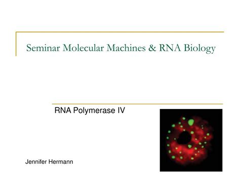 PPT Seminar Molecular Machines RNA Biology PowerPoint Presentation ID 370496