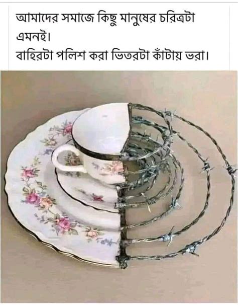 কথা কিন্তু ১০০ সত্যি। শিক্ষা ও তথ্য কেন্দ্র Facebook