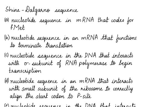 Solved The Shine Dalgarno Sequence Refers To A Consensus Sequence Permitting Recognition